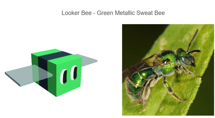 BSS Bees and their irl counterparts! Rares :) | Fandom