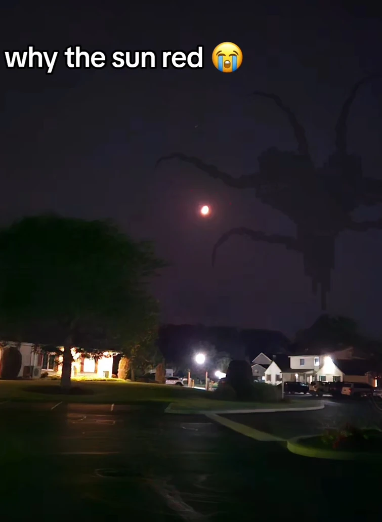 Counting Game!! | Fandom