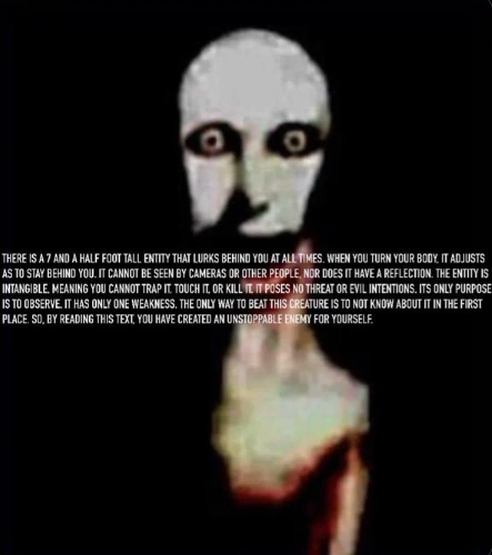 If you are reading this, you have been pranked | Fandom