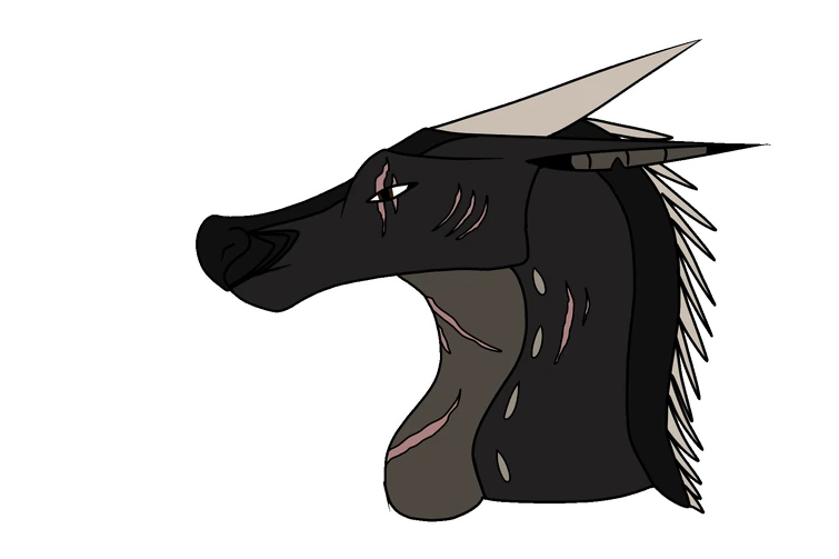 Meet my queen ocs! | Fandom