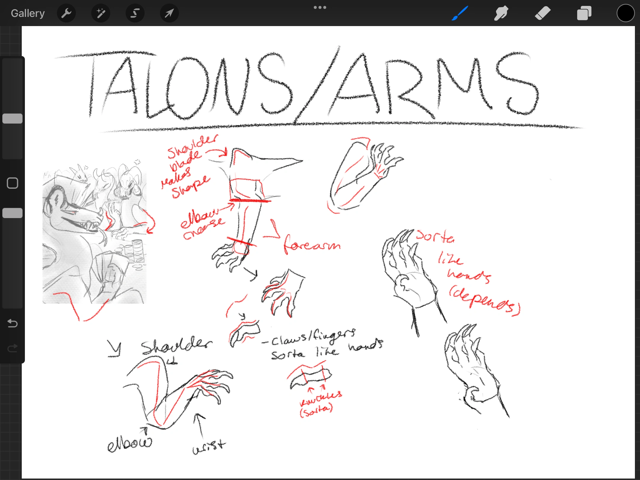 talon/arm anatomy(ish) | Fandom
