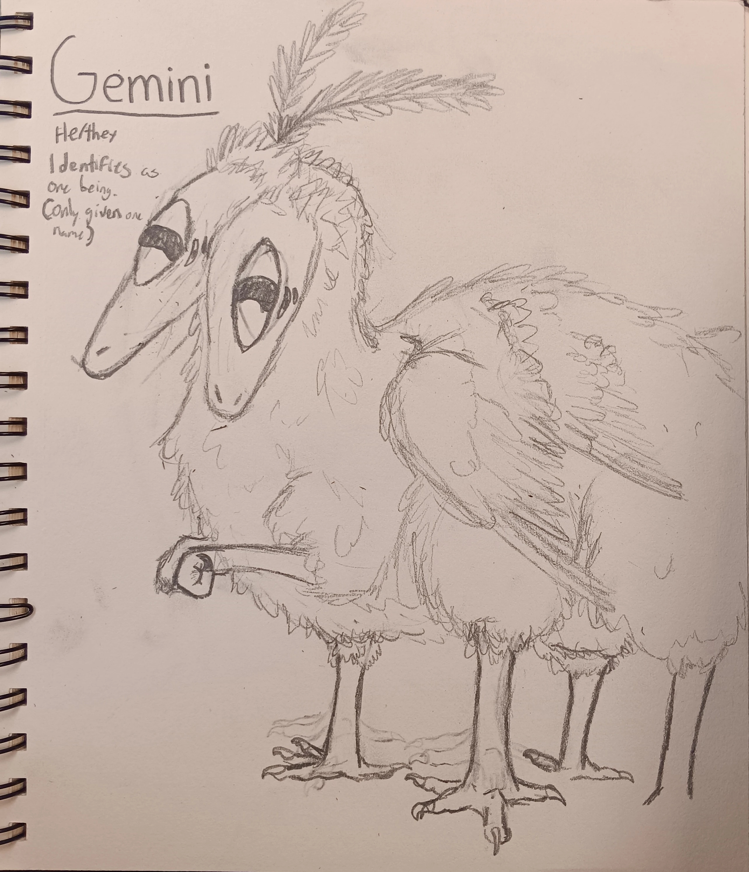 Fan creature oc! | Fandom