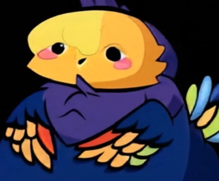 Start bird cult | Fandom