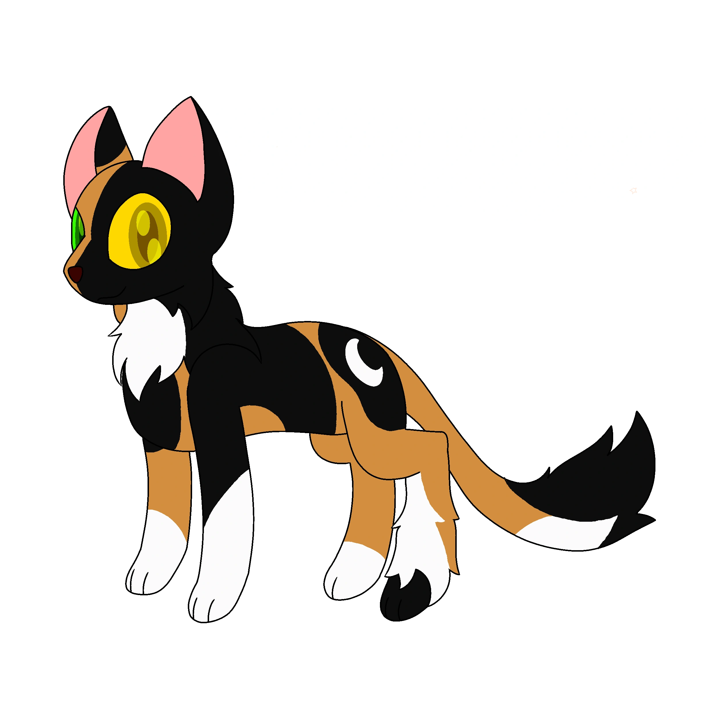 lil moonpaw design | Fandom