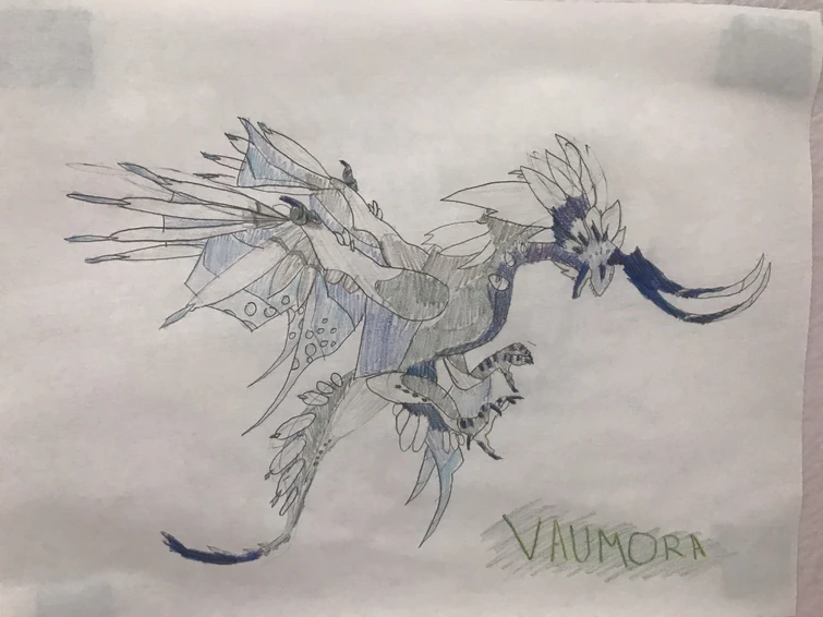 Vaumora Drawing | Fandom
