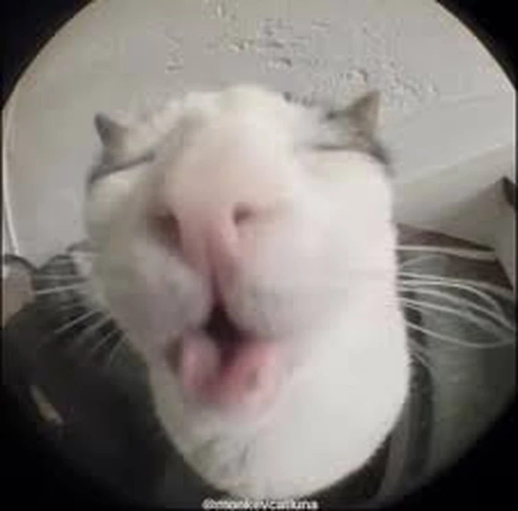 binding vows | Fandom