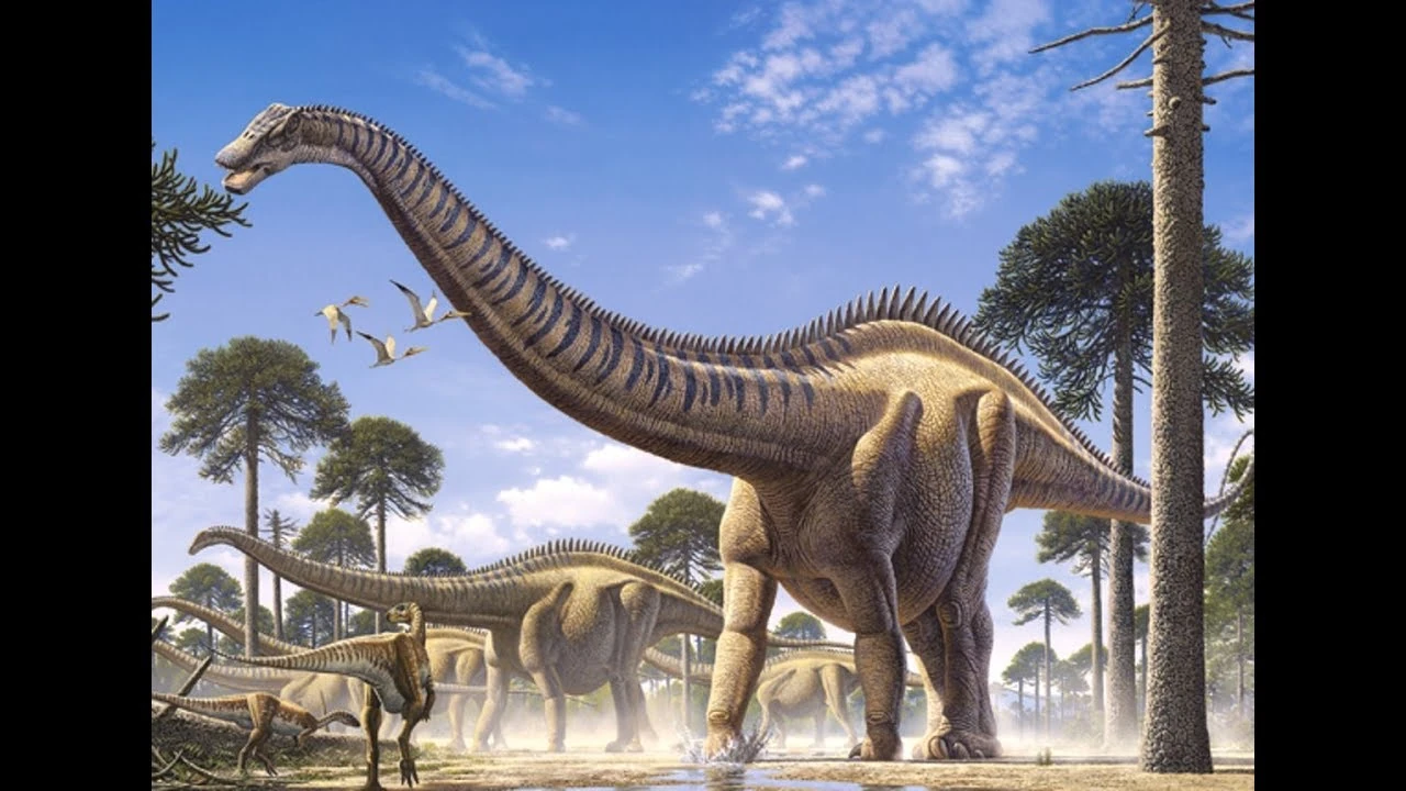 calculando la fuerza de un diplodocus | Fandom