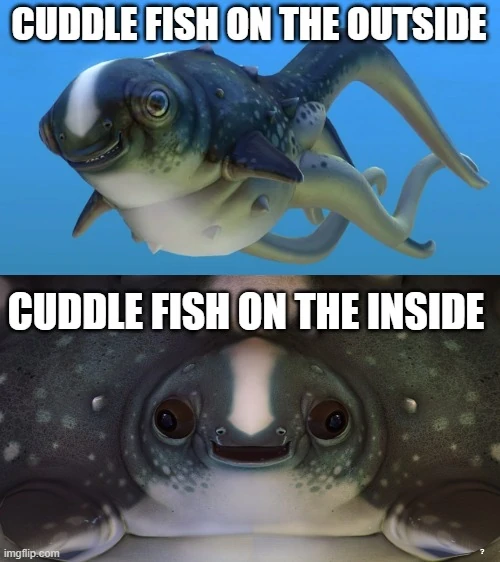 Speaking of cuddlefish... | Fandom
