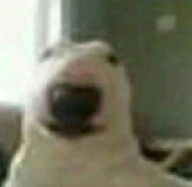 should i write a pressure fanfic 😍😍😍😍 (not freaky) | Fandom