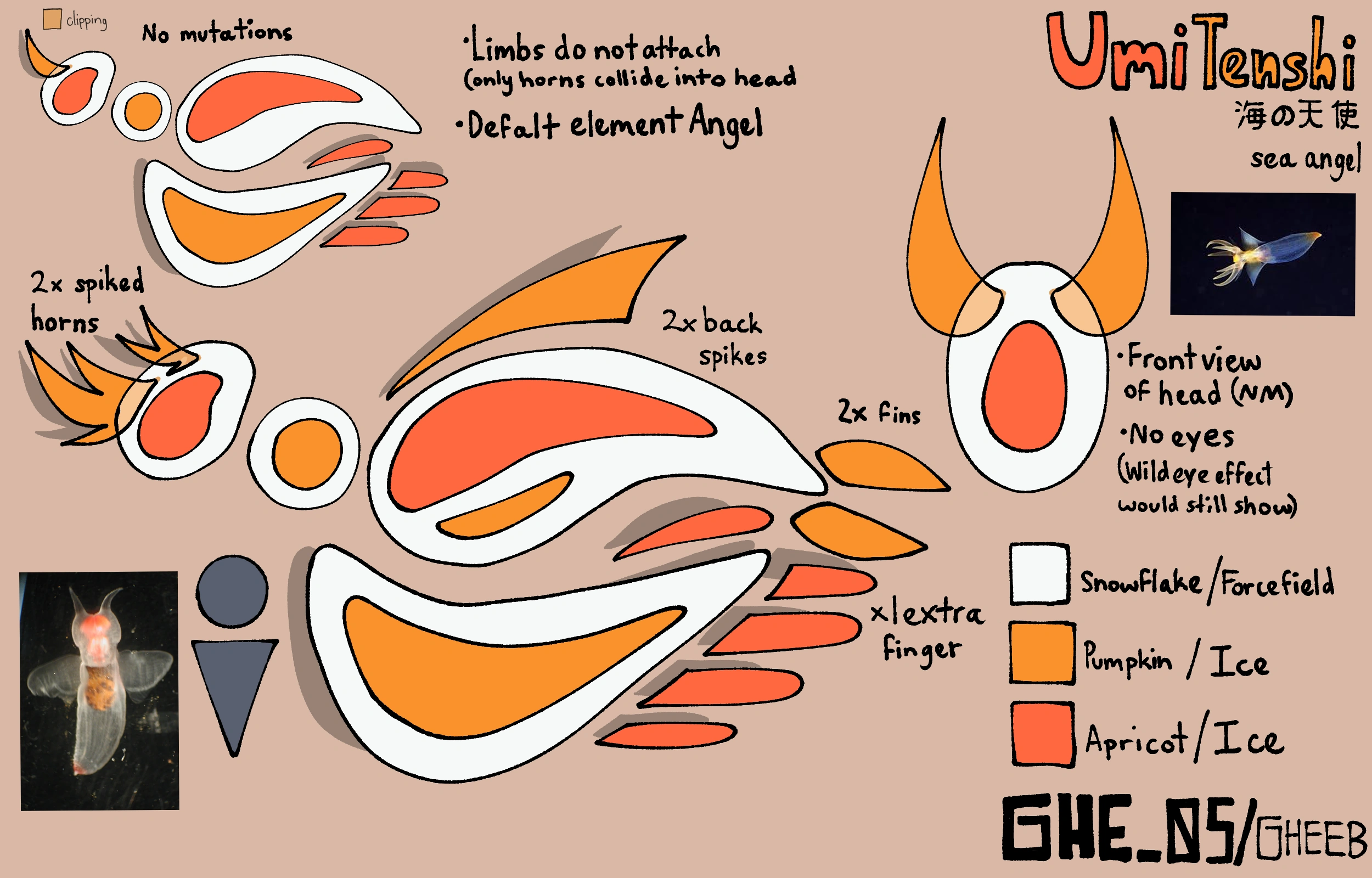 UMI TENSHI (Fanmade dragon concept) | Fandom