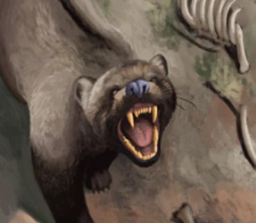 WDLYM: Gigantic Prehistoric Mustelids | Fandom
