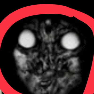 I believe it may be fake gore. | Fandom