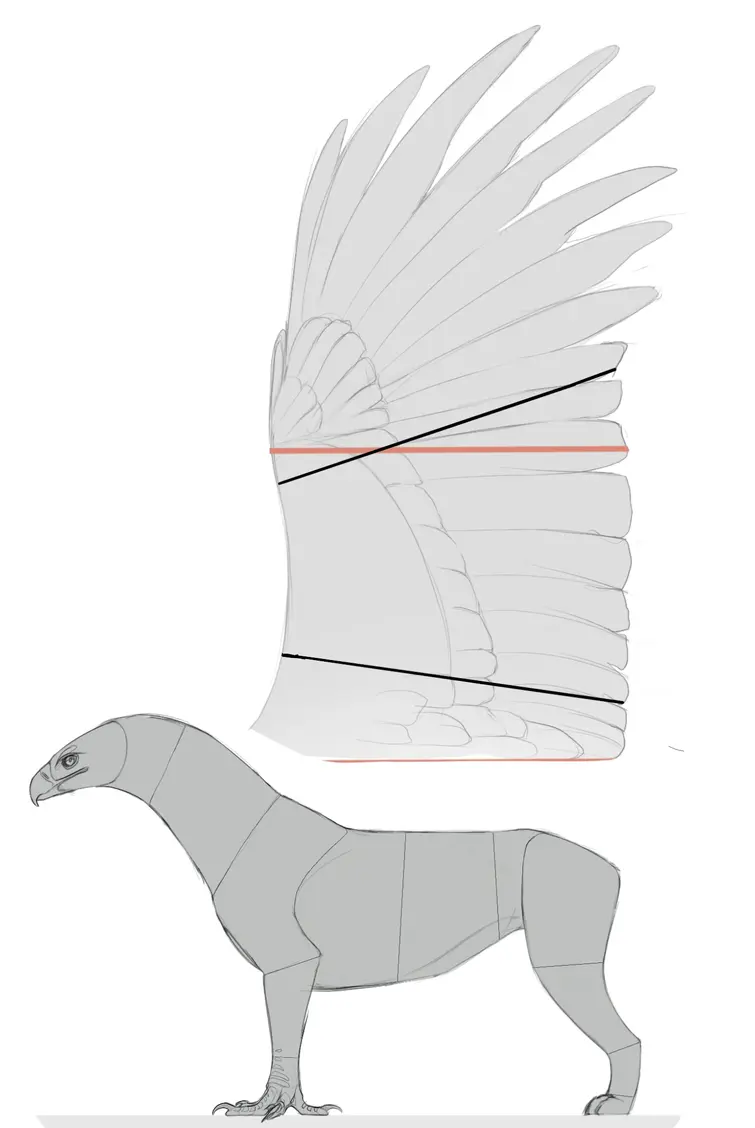 can someone gib me the griffin base | Fandom