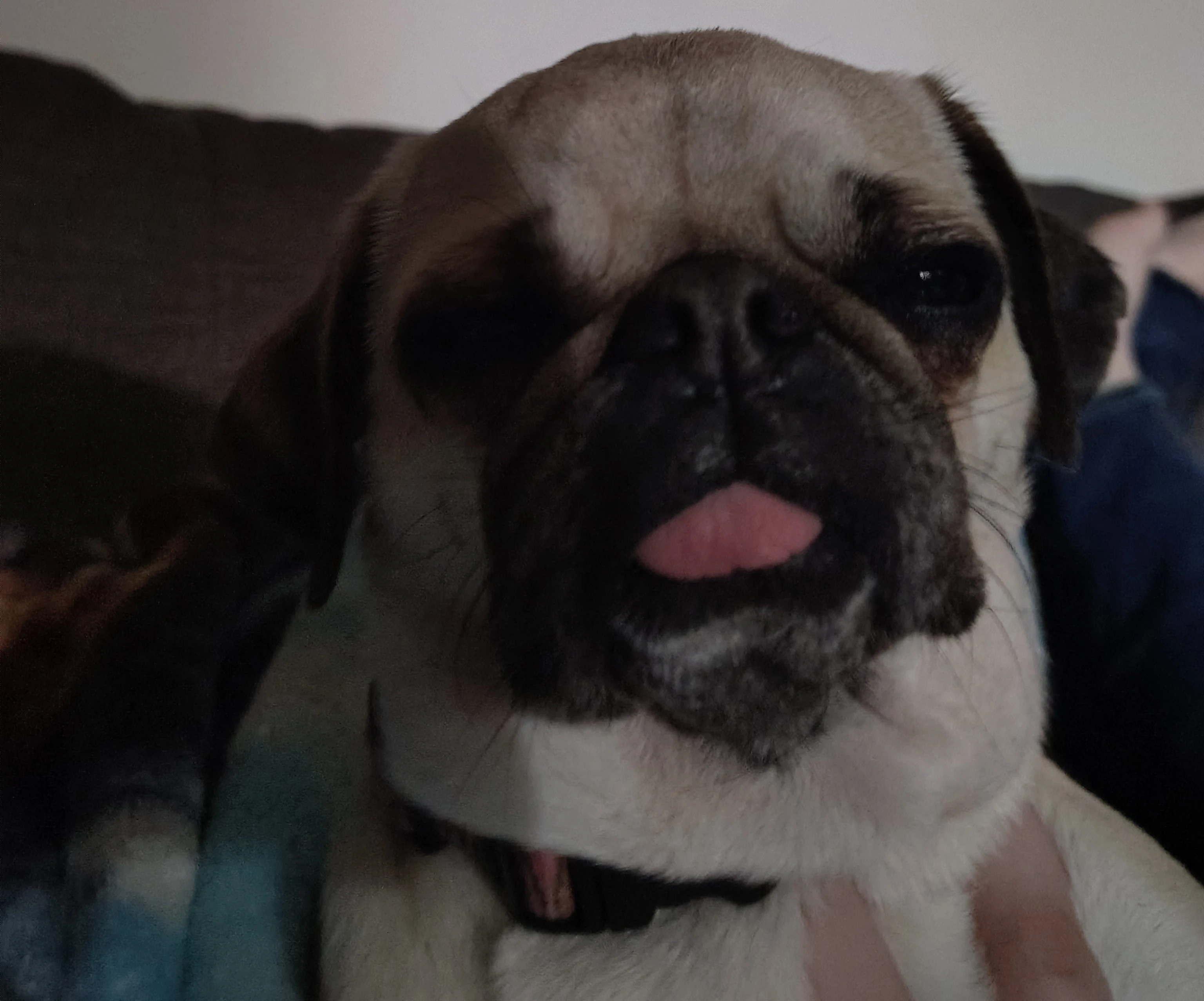 No thoughts in the brain.. | Fandom