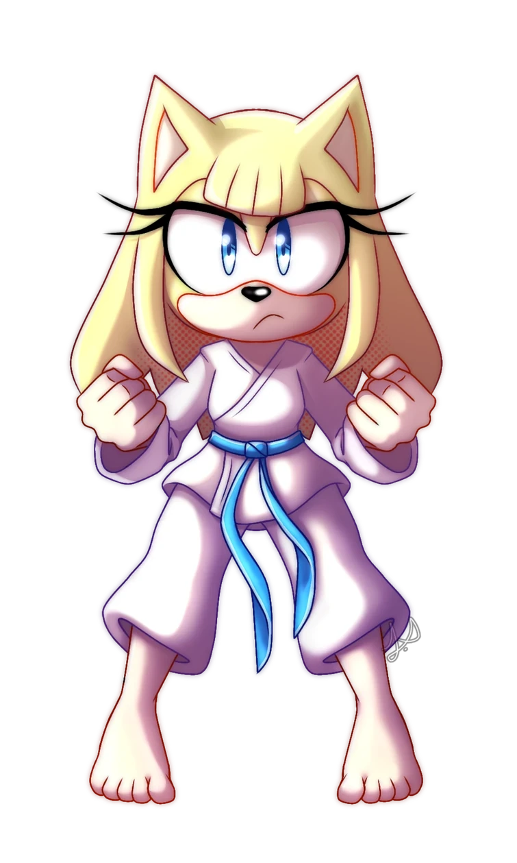 It kinda bothers how Sonic characters canonically have blob feet | Fandom
