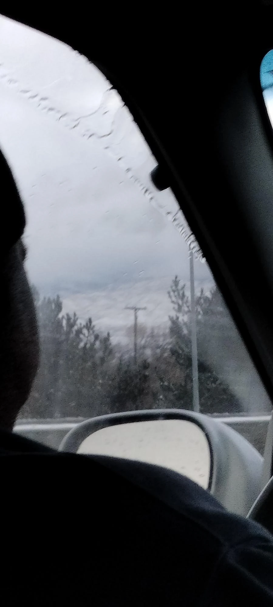 Water flying types be like | Fandom