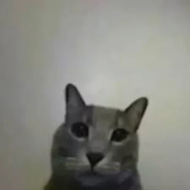 skibidi ohio gyatt, with the ohio jumbo sauce on the side, with the ...