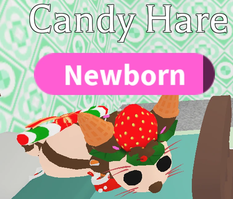 Discuss Everything About Adopt Me! Wiki | Fandom