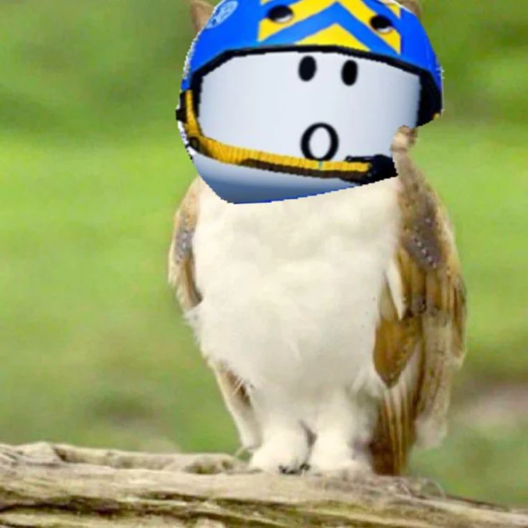 I am currently on my phone and on my alt | Fandom