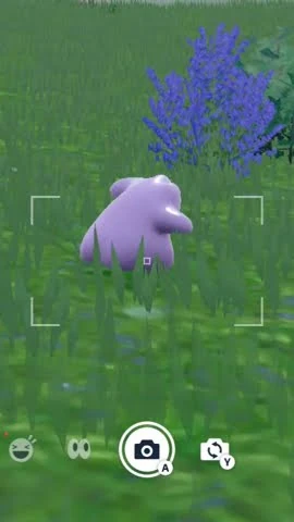 Ditto turned into Ditto- | Fandom