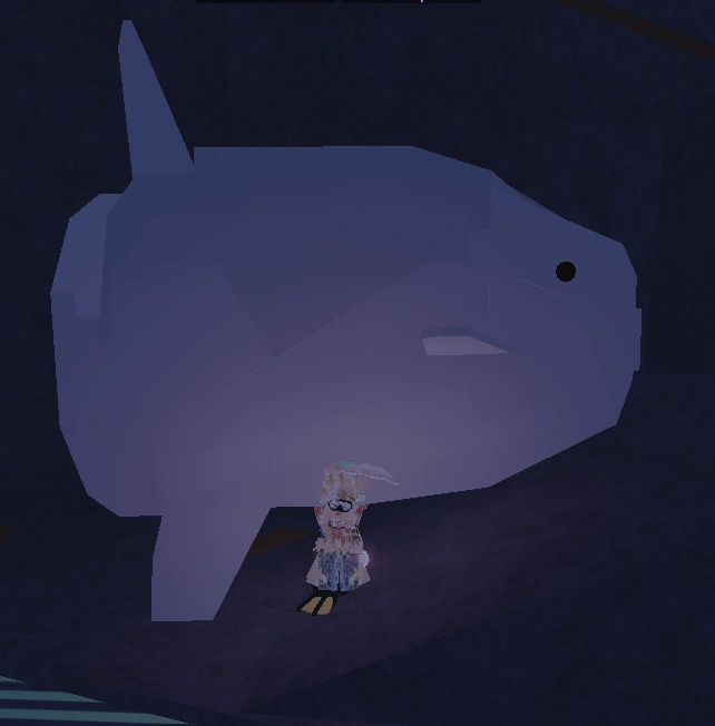 i love my big fish | Fandom
