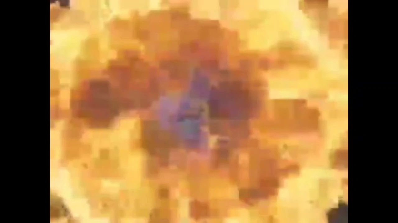 goofy ahh steg | Fandom