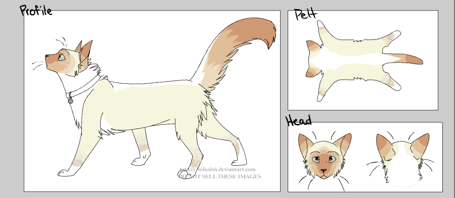looking for morph maker | Fandom