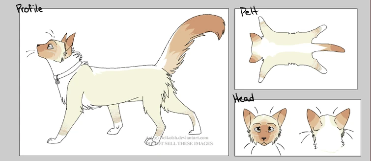 looking for morph maker | Fandom