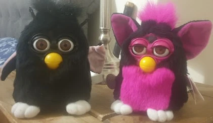 2 new furbies! | Fandom