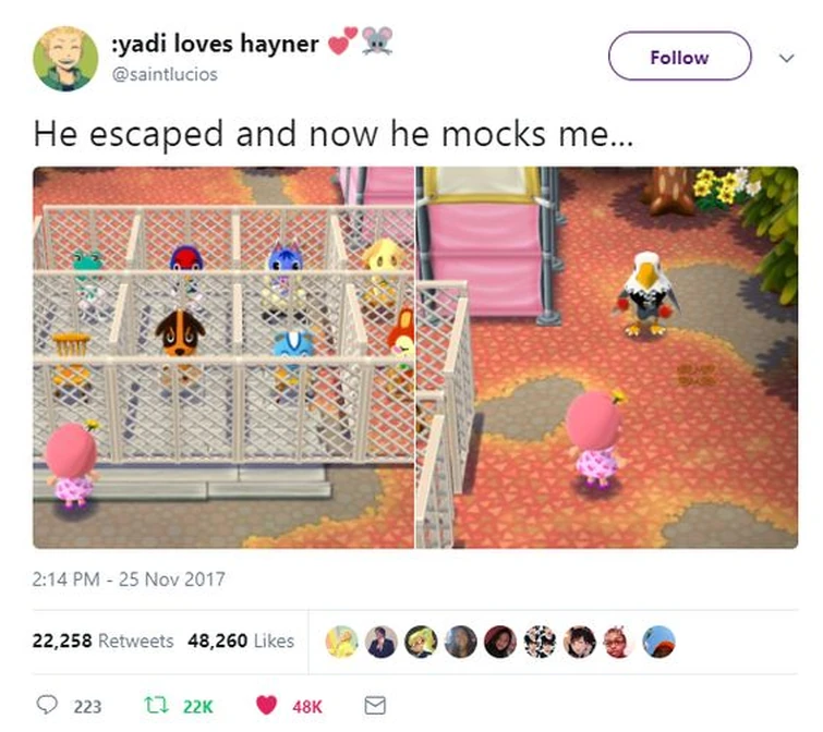 Memes i stole off pintrest | Fandom