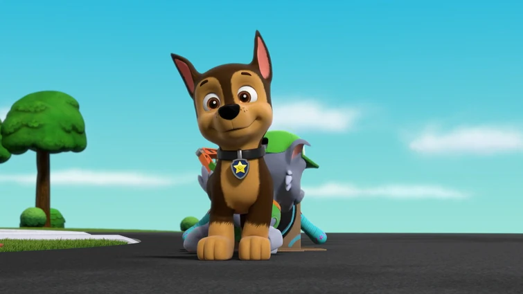 Birthday Pup Headcanon | Fandom