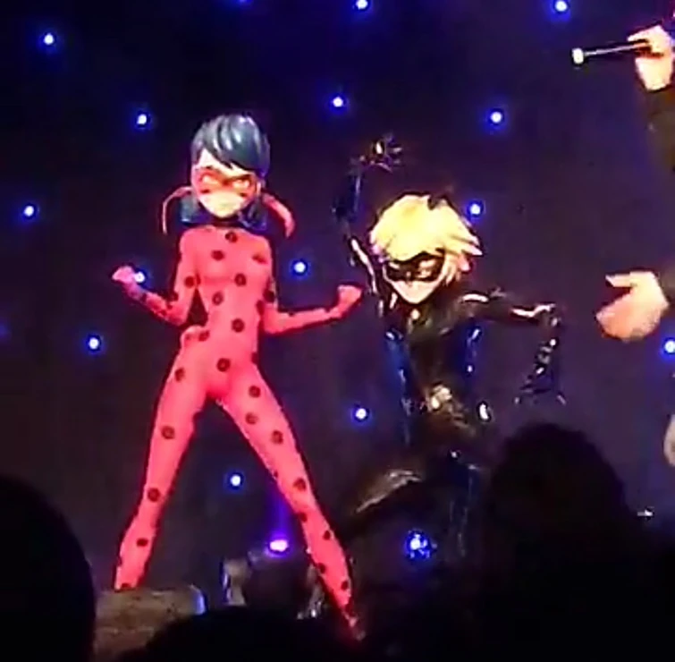Ladybug an Chat Noir statues | Fandom