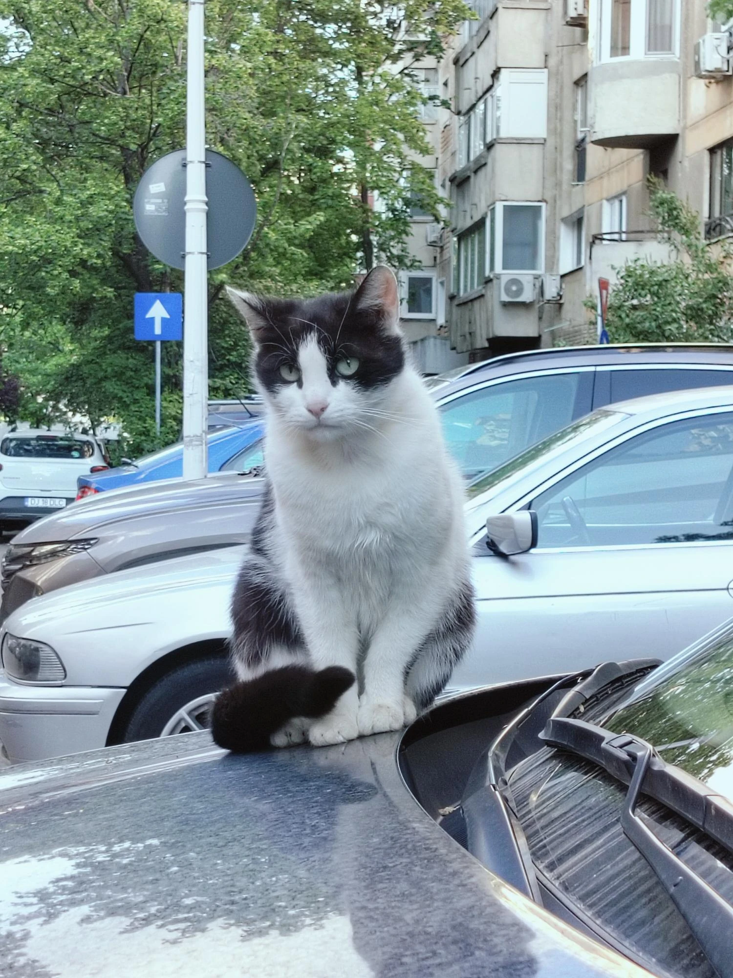 Buying legc pot & lege pot for 1m both! | Fandom