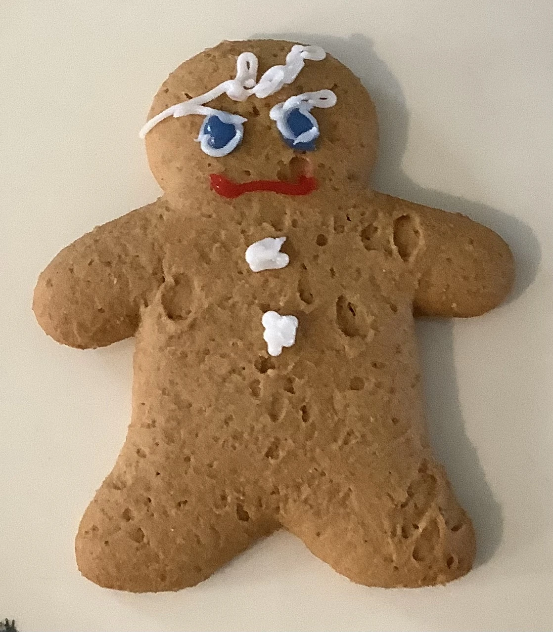 gingerbrave real | Fandom