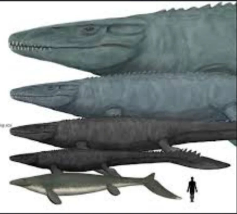 Mosasaurus(JW) vs Megalodon(The Meg) | Fandom