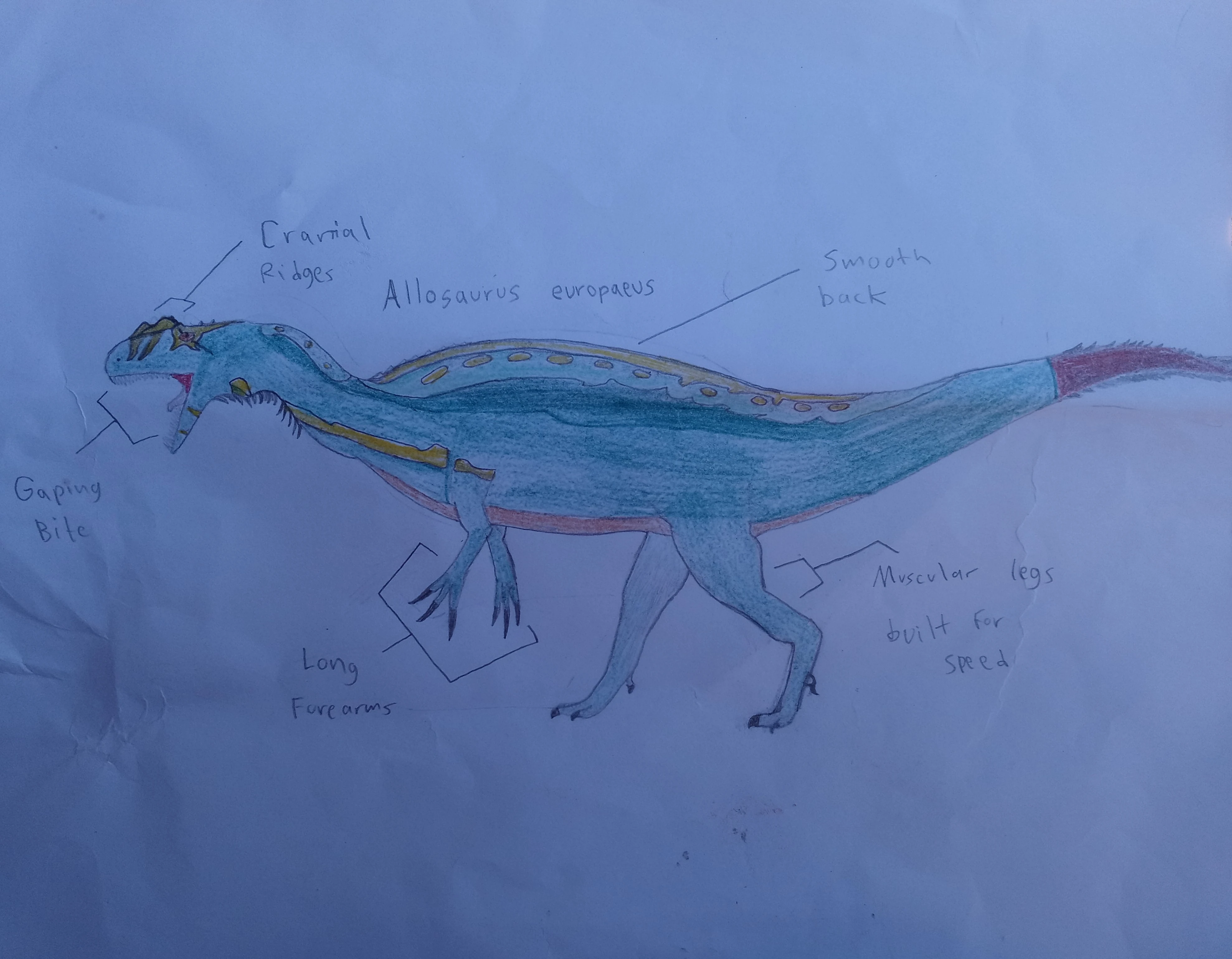 I drew Alan the Allosaurus (OC) | Fandom