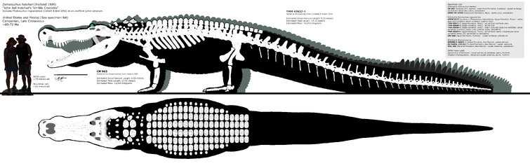 Biggest crocodilian/relative in weight | Fandom