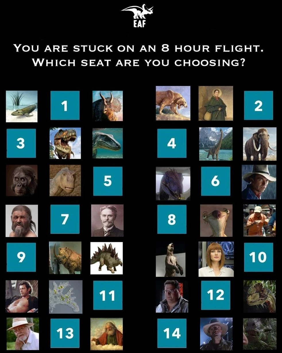 What would you do in this situation? | Fandom