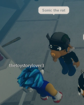 Yes, sonic the rat | Fandom