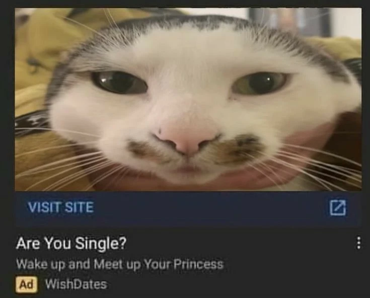 [Insert cat person here] | Fandom