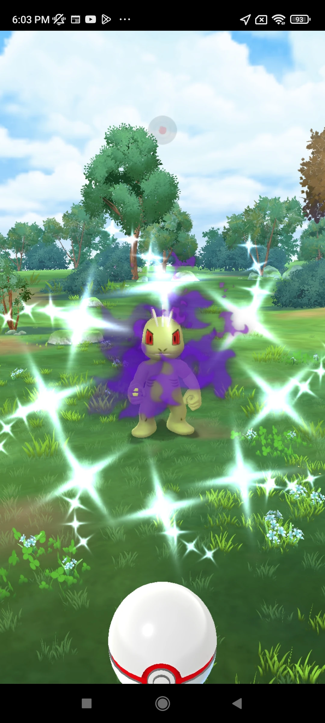 Got my third Shiny Shadow Machop! | Fandom