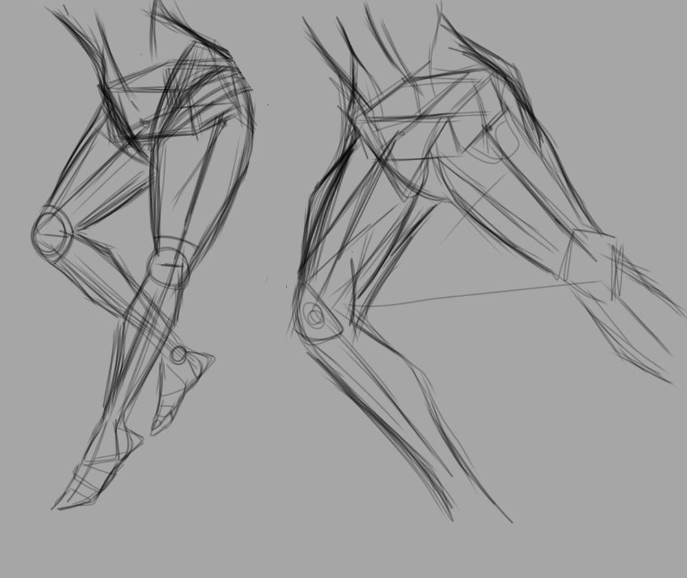 Practicing Anatomy | Fandom