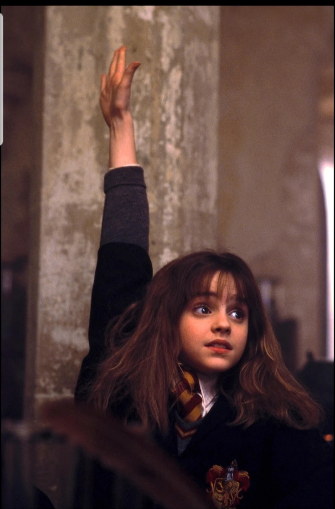 Happy birthday Hermione | Fandom