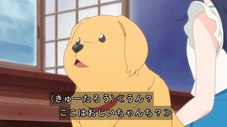 Kyu-chan/Kyutaro talked lol | Fandom