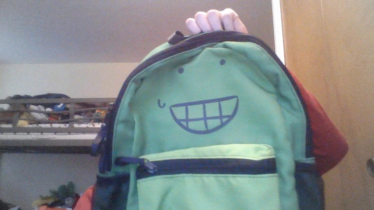 HOLY HELL MY LIAM BACKPACK ARRIVED + SOME OTHER RANDOM STUFF | Fandom