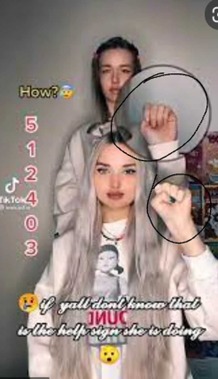 Discuss Everything About TikTok Wiki | Fandom