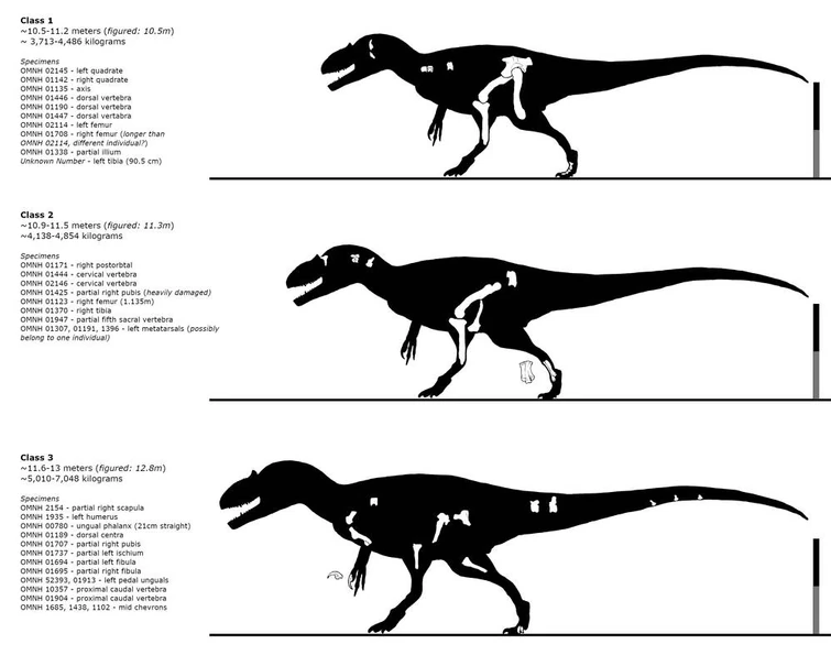 Who would win in a fight? | Fandom
