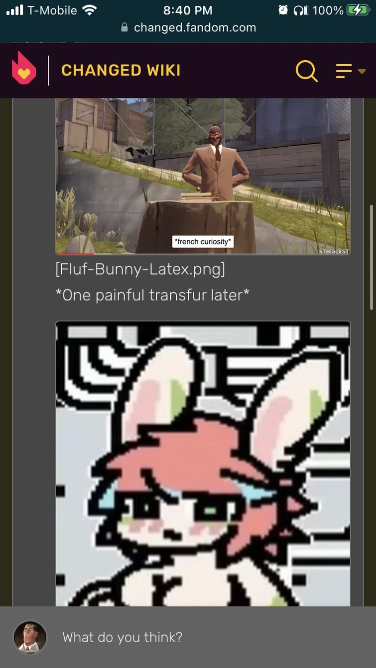 what would you do if. changed irl. | Fandom