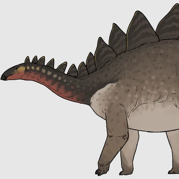 Discuss Everything About Dinopedia | Fandom