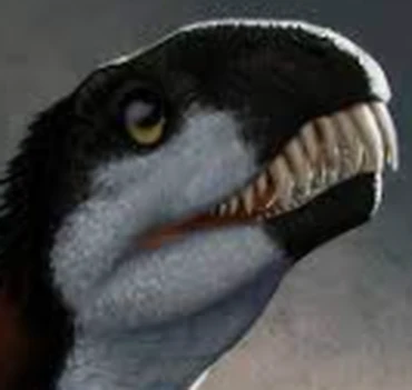 Discuss Everything About Dinopedia | Fandom